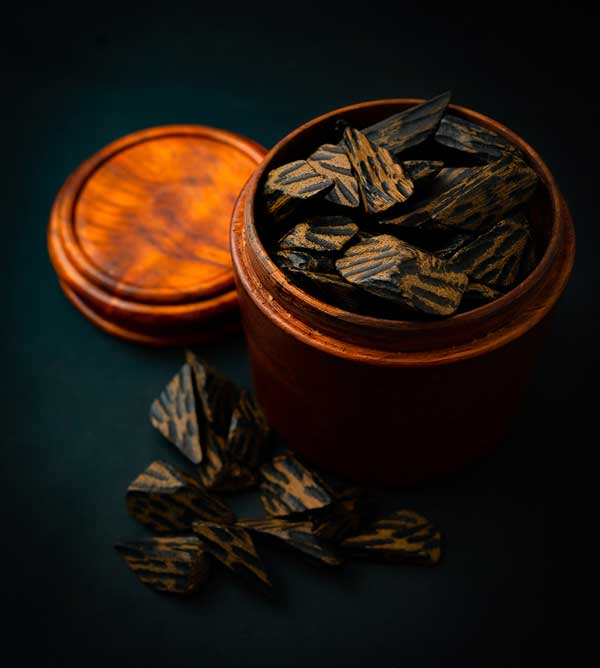 Shop - Oud House